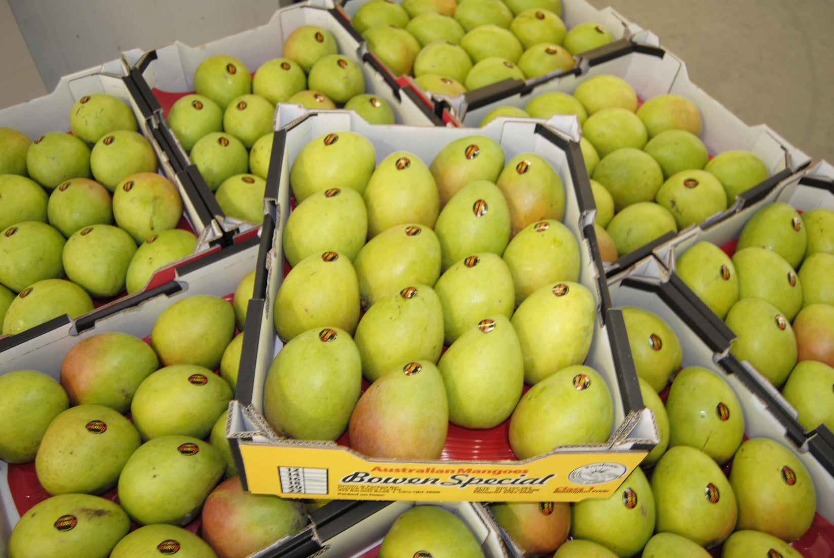 Bowen Special Mangoes - Order a tray today! – Christmas Mangoes